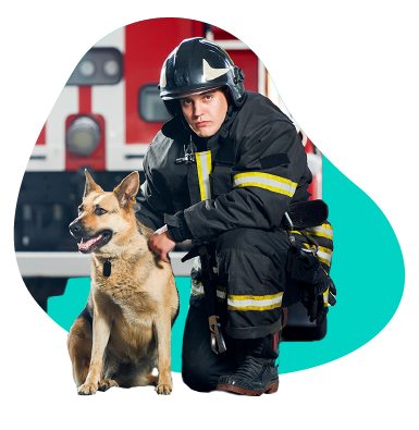 Czworonożni bohaterowie służb mundurowych – psy w straży pożarnej